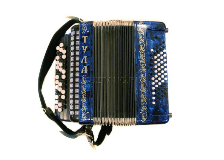 Баян "Тула" 40х60-1,BN-42-BL, детский, синий купить в Санкт-Петербурге ...